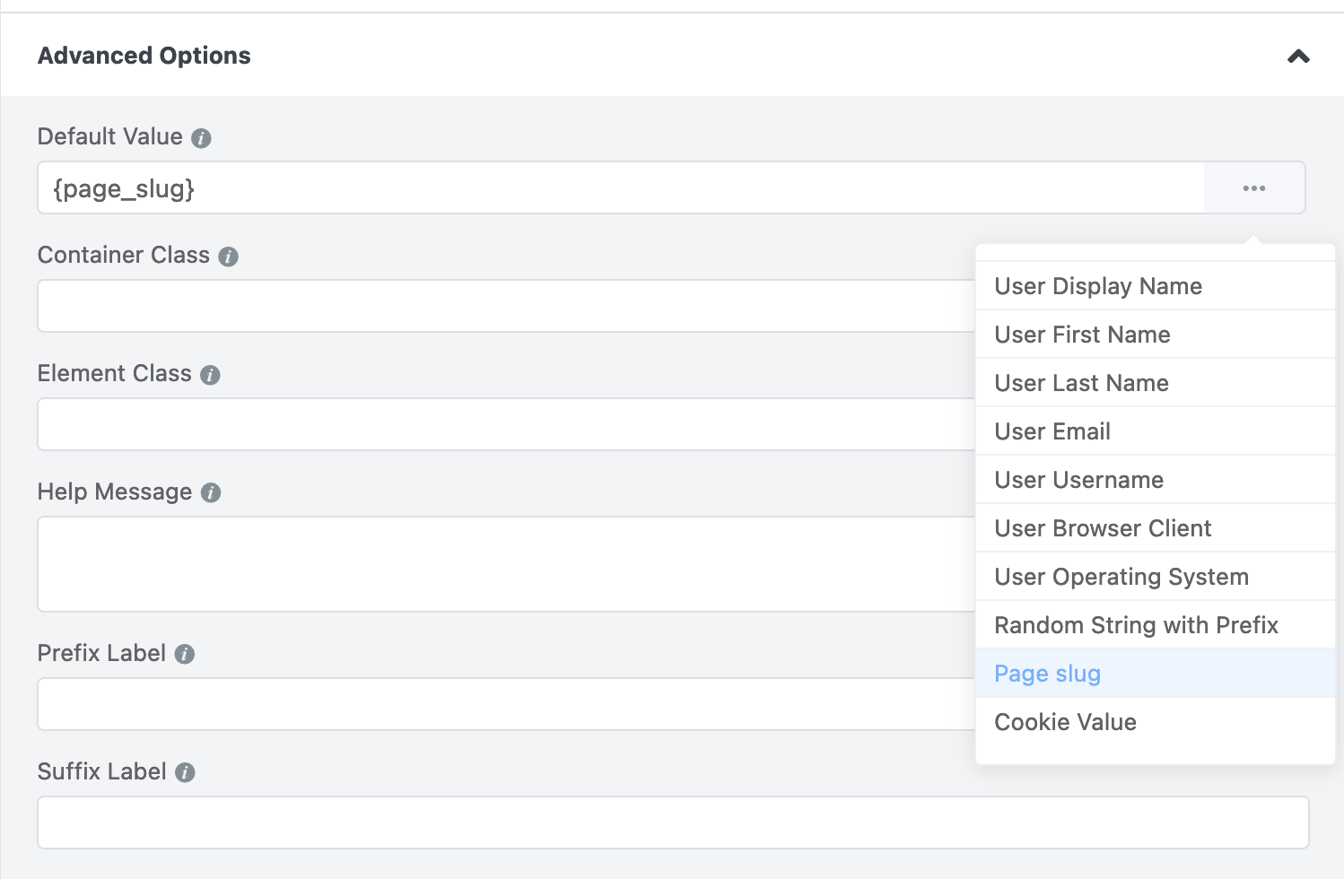 Get page slug with Fluent Forms - SnippetClub