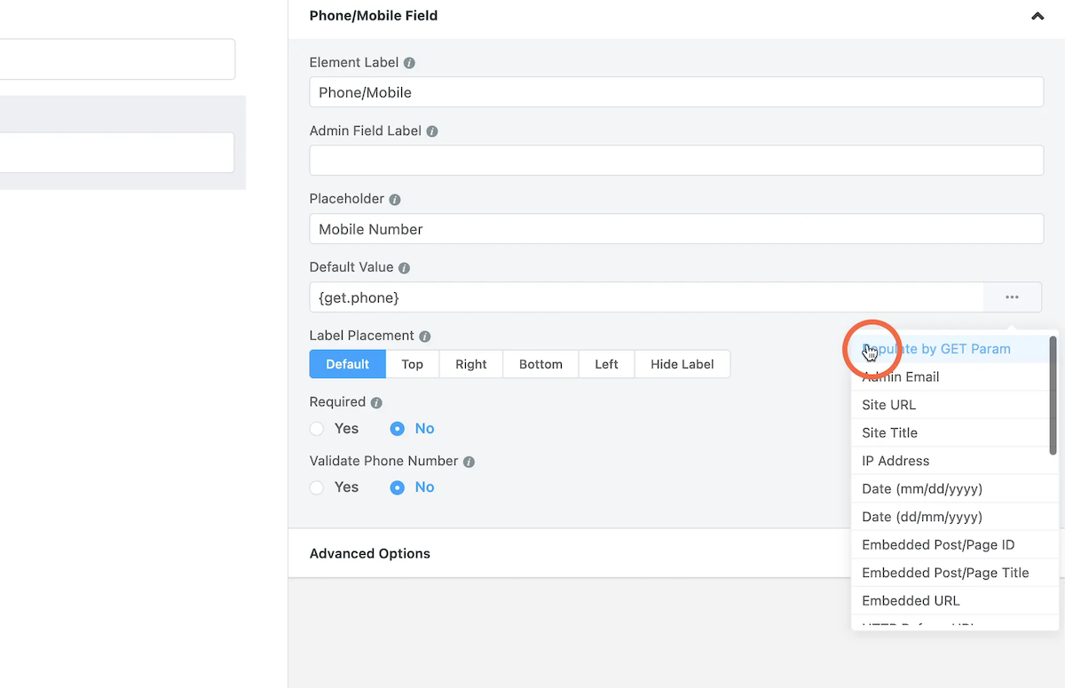 Send user inputs between forms in Fluent Forms - SnippetClub